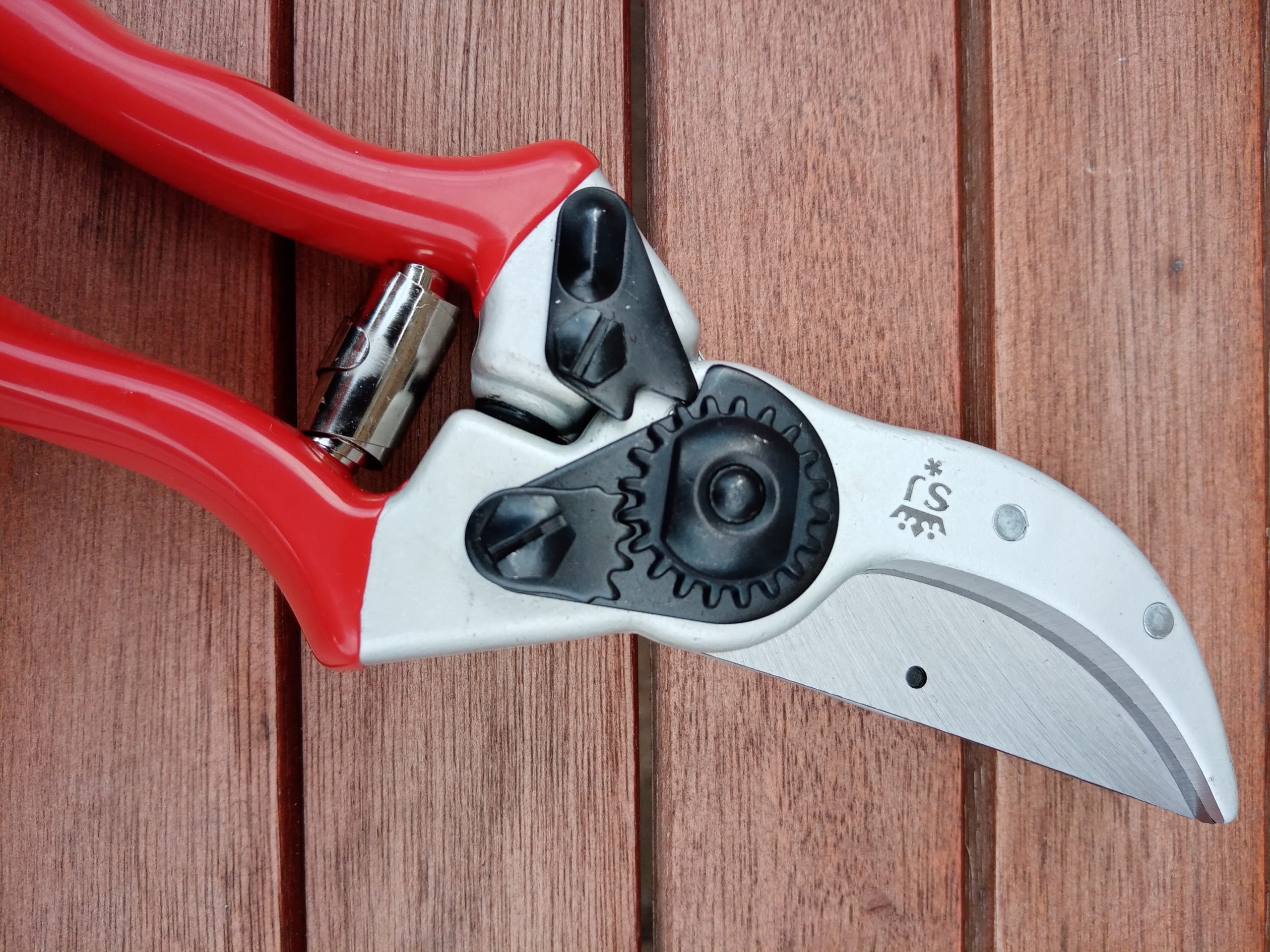 Shiny New Tools - FoCRP